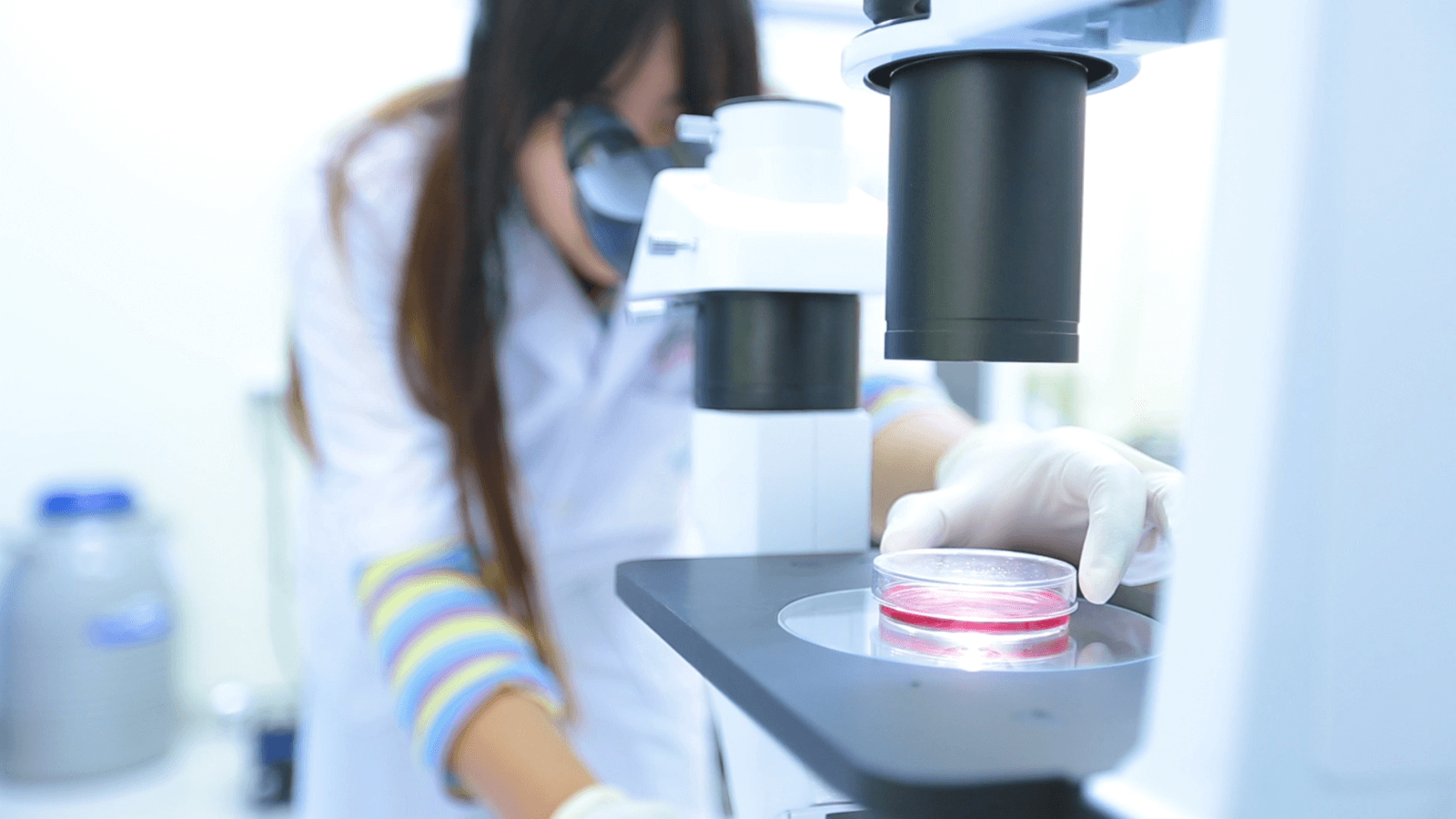 Utilizing Heterogeneous Mouse Models to Discover Mechanisms Underlying ...