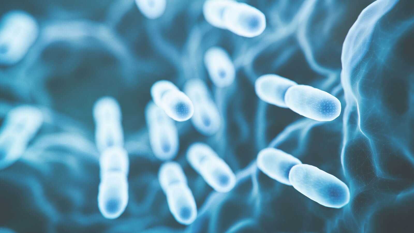 MICROBIOME CONSORTIUM – Cure Alzheimer's Fund